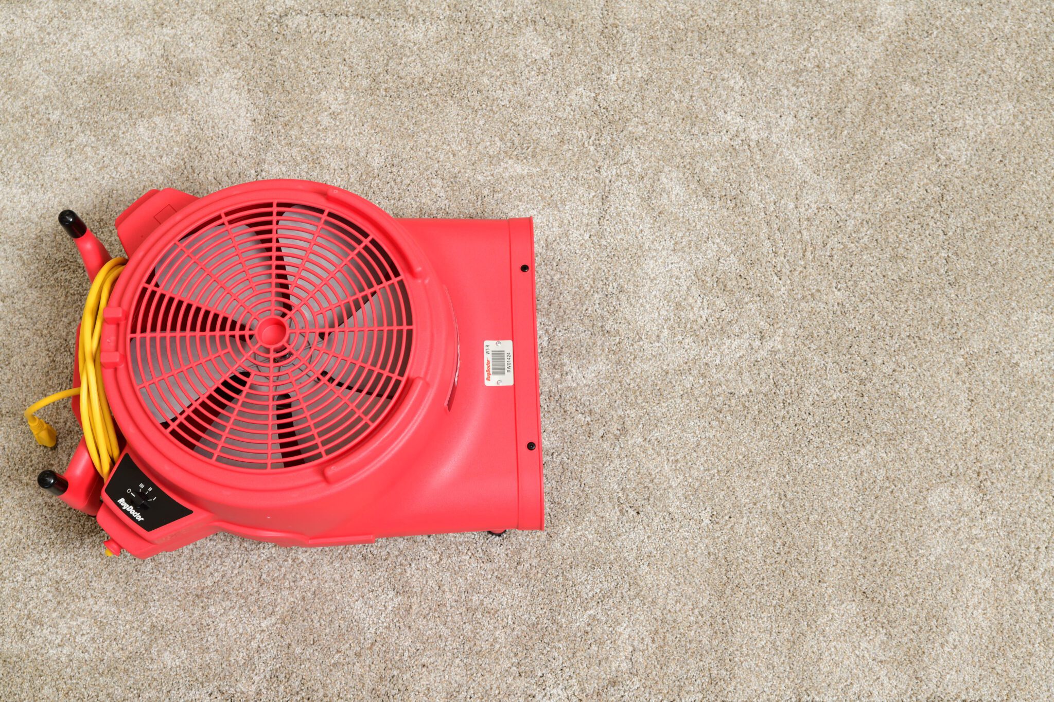 Floor Dryer | Rug Doctor by BISSELL